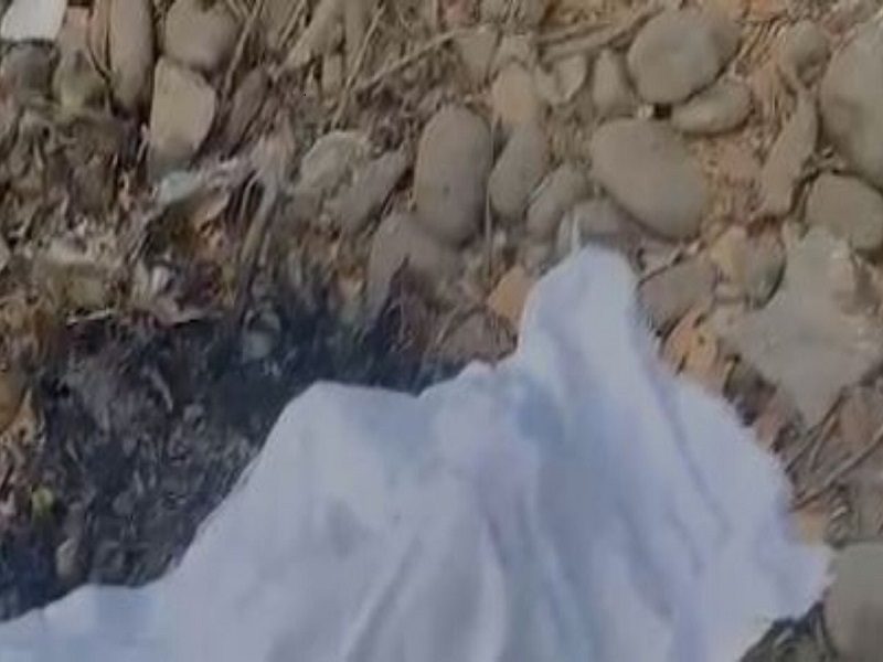 Encuentran bebé calcinado y mordido por los perros en un solar baldío