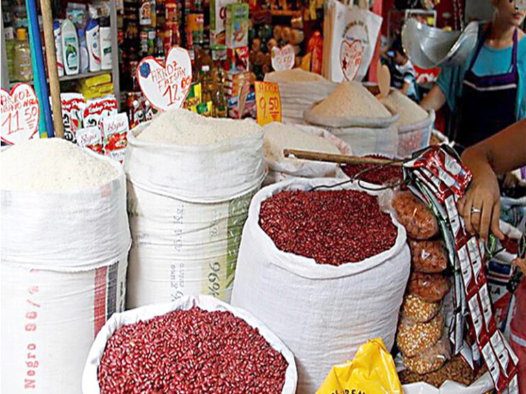 Campesinos están renuentes a seguir cultivando granos básicos