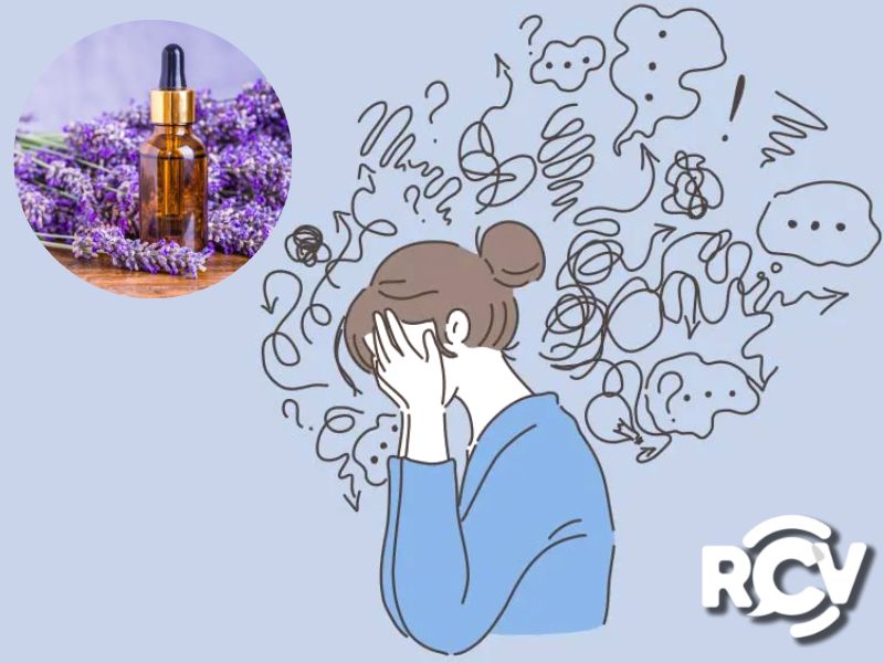 Conoce La Planta Que Te Puede Ayudar A Combatir La Ansiedad