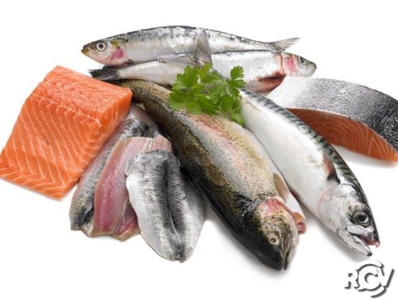 Descubre los cinco alimentos que mejoran la capacidad intelectual