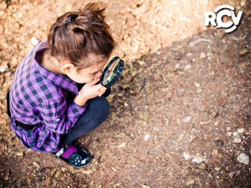 Descubre algunos datos 'random' y curiosos para impresionar a alguien