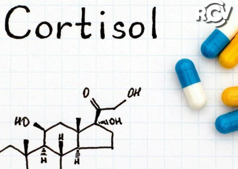 Aquí te contamos que es el cortisol y como controlarlo