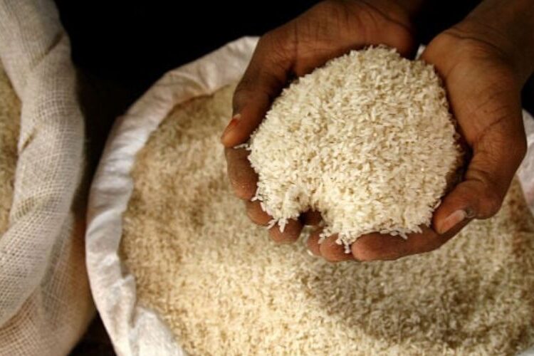 Productores importan el 90% de arroz que consumen hondureños