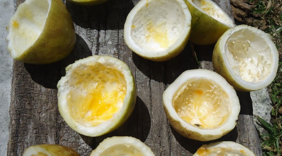 Beneficios de la cáscara de maracuyá