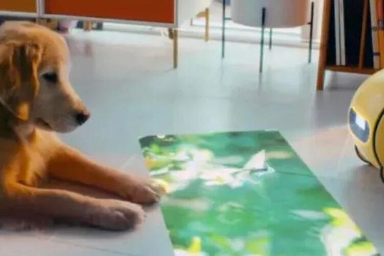 Ballie: El nuevo robot con inteligencia artificial de Samsung