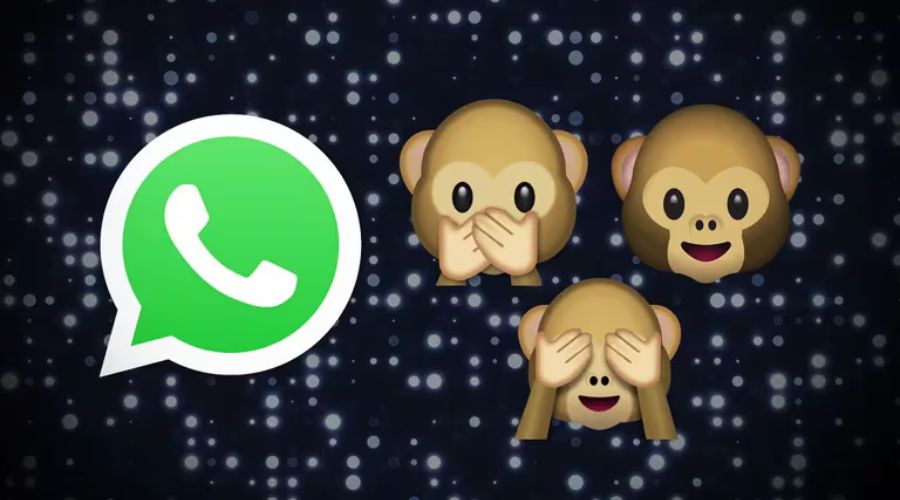 ¿Qué significan realmente los emojis de los monos?