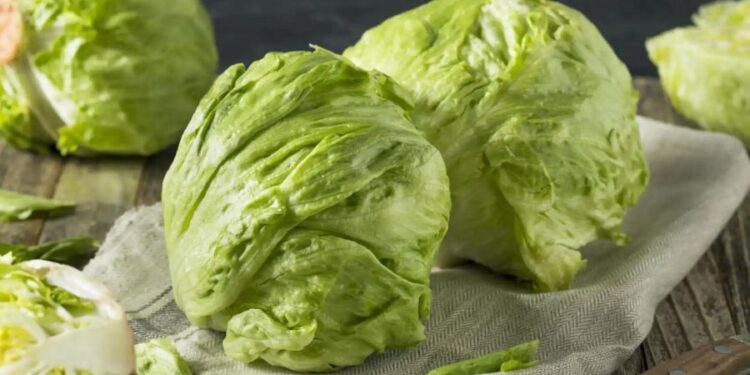Beneficios de la lechuga para la salud