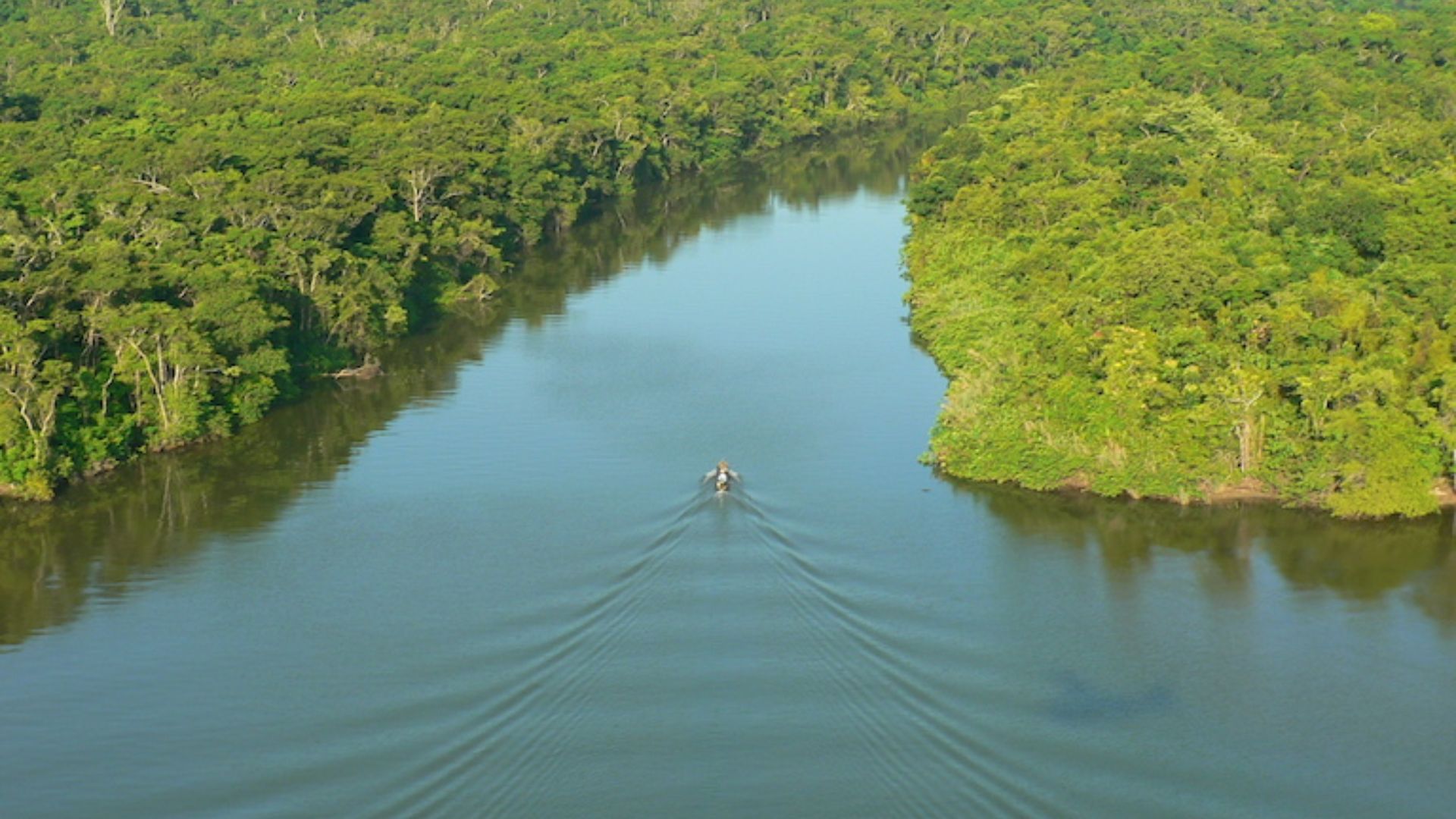 Biosfera del Río Plátano se encuentra en peligro