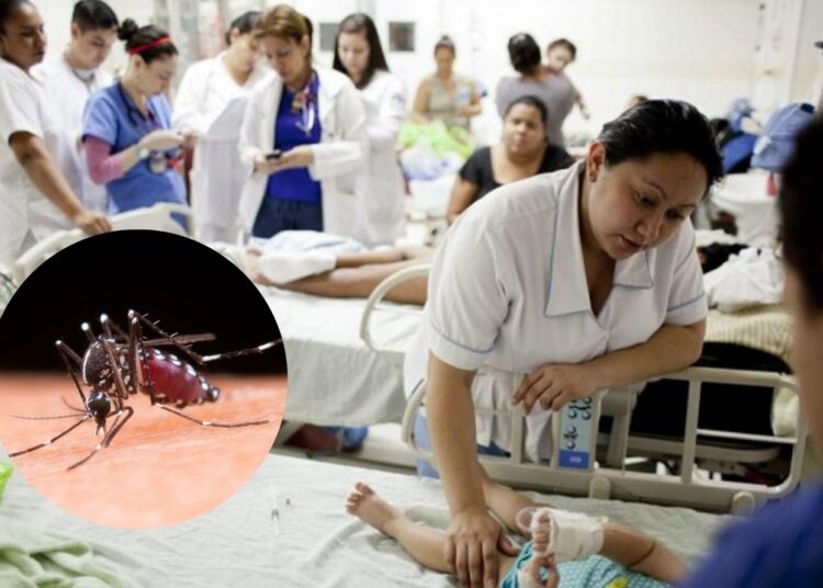 Honduras suma 20 fallecimientos por dengue según la Sesal