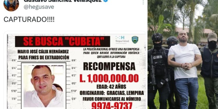 Capturan al extraditable Mario Cálix Hernández