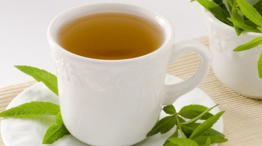 El poderoso té de cedrón mejora la digestión y el estrés