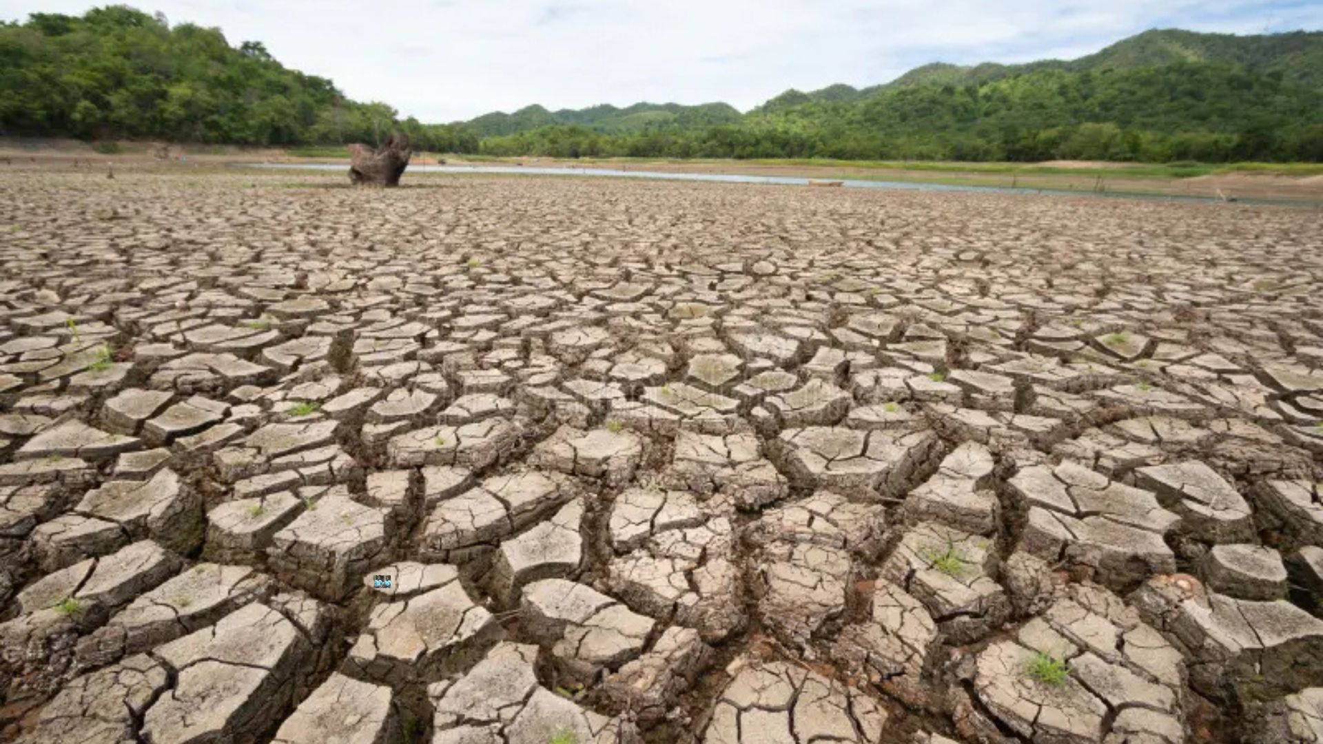 ¿Qué soluciones necesita el Corredor Seco en Centroamérica?