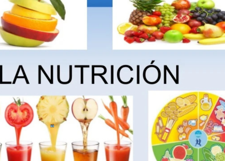 La nutrición es el proceso vital para la obtención de nutrientes