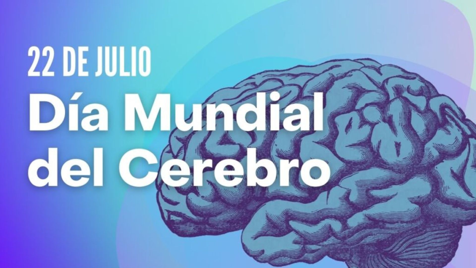 ¿Sabías qué hoy se celebra el Día Mundial del Cerebro?