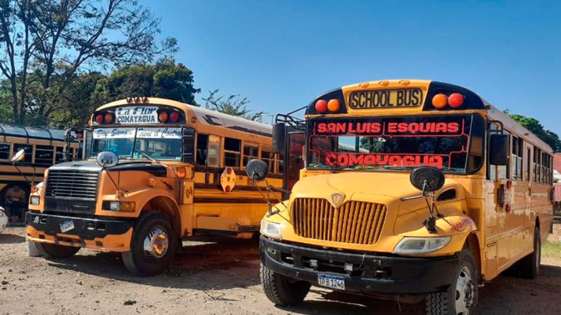 Extorsión obliga a paralizar buses entre Comayagua y SPS