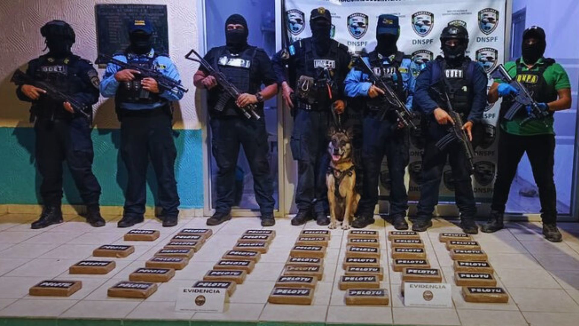 DNPA decomisa 44 kilos de presunta cocaína en Santa Bárbara